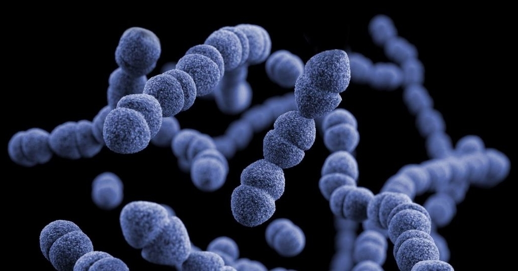 What are the Signs & Symptoms of Common Bacterial Infections?