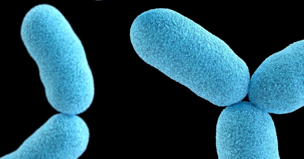 Which Antibiotic Works Best to Treat Symptoms of Bacterial Infections?